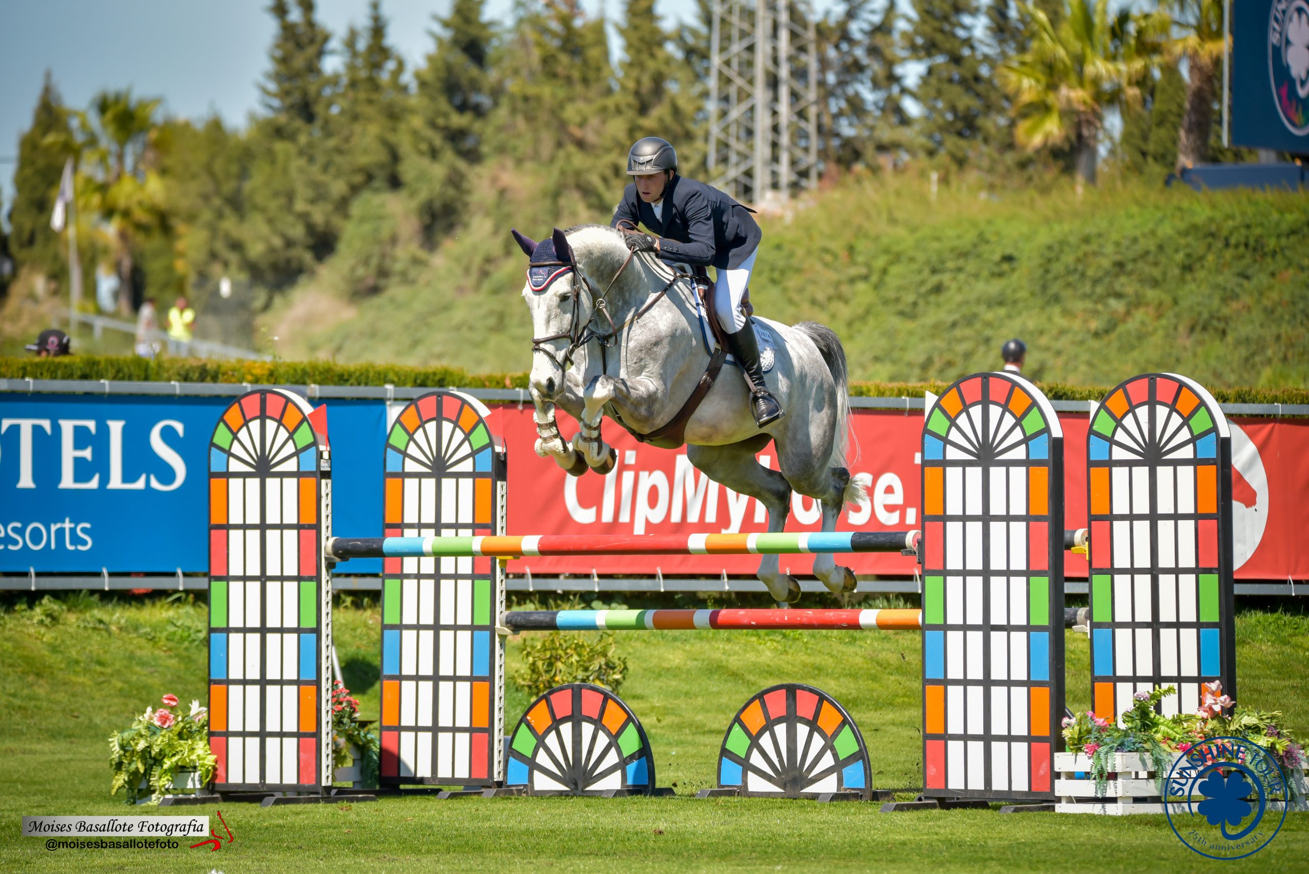 High Offley Milo - Runningwell Sports Horses